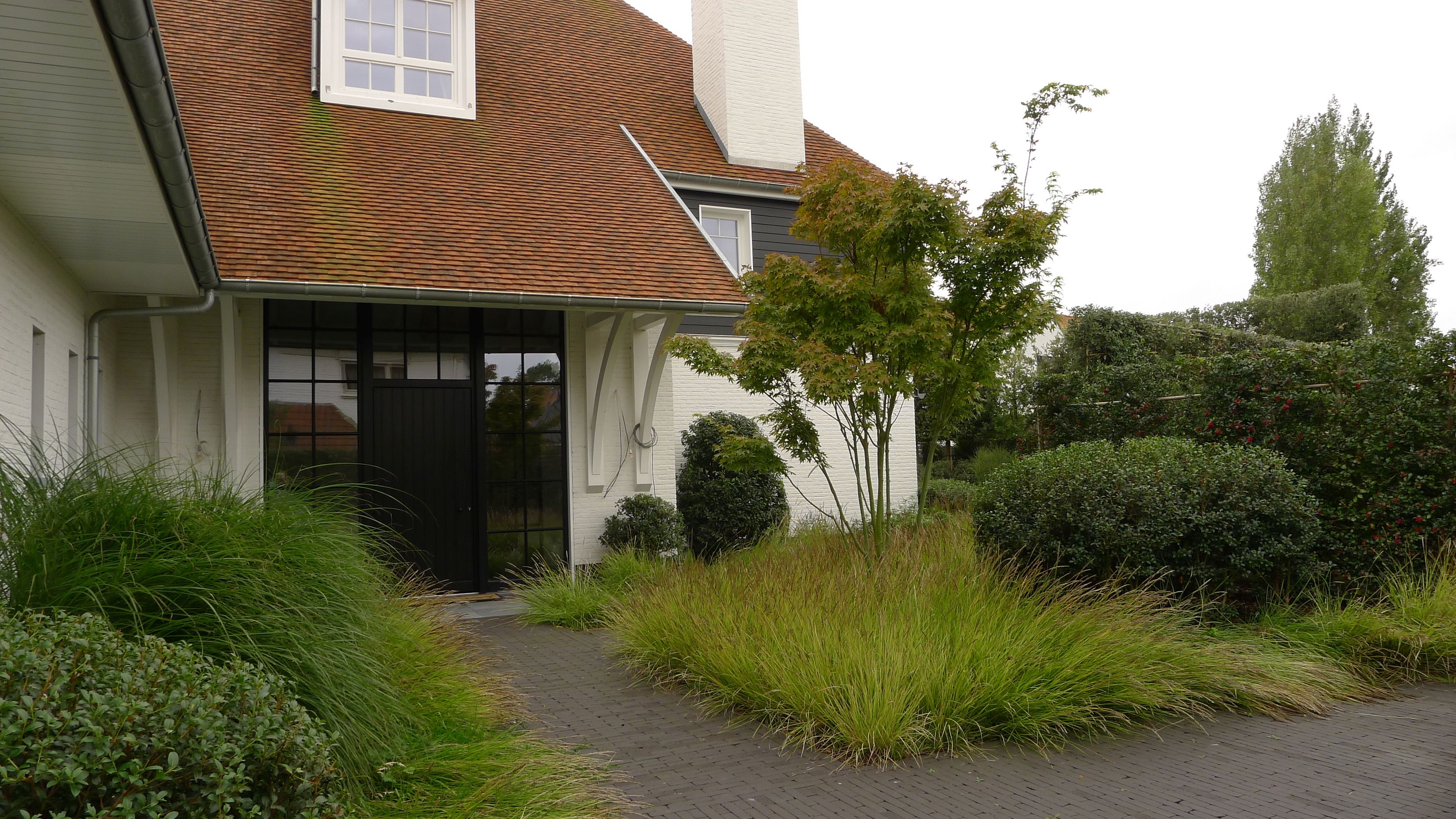 PROMOTIE GROENBLIJVENDE HEESTERS | Greenhouse.be