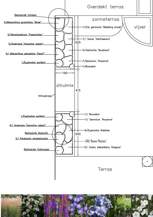 VASTE PLANTEN | Greenhouse.be